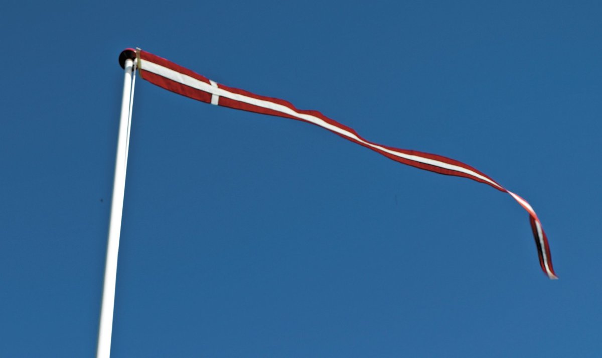 Vimpel til 10 m flagstang - 500 cm - Vimpler - Dronninglund ...